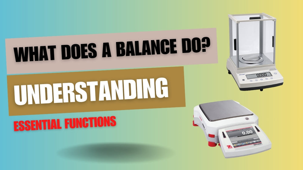 What Does a Balance Do? | Understanding Its Essential Functions ...